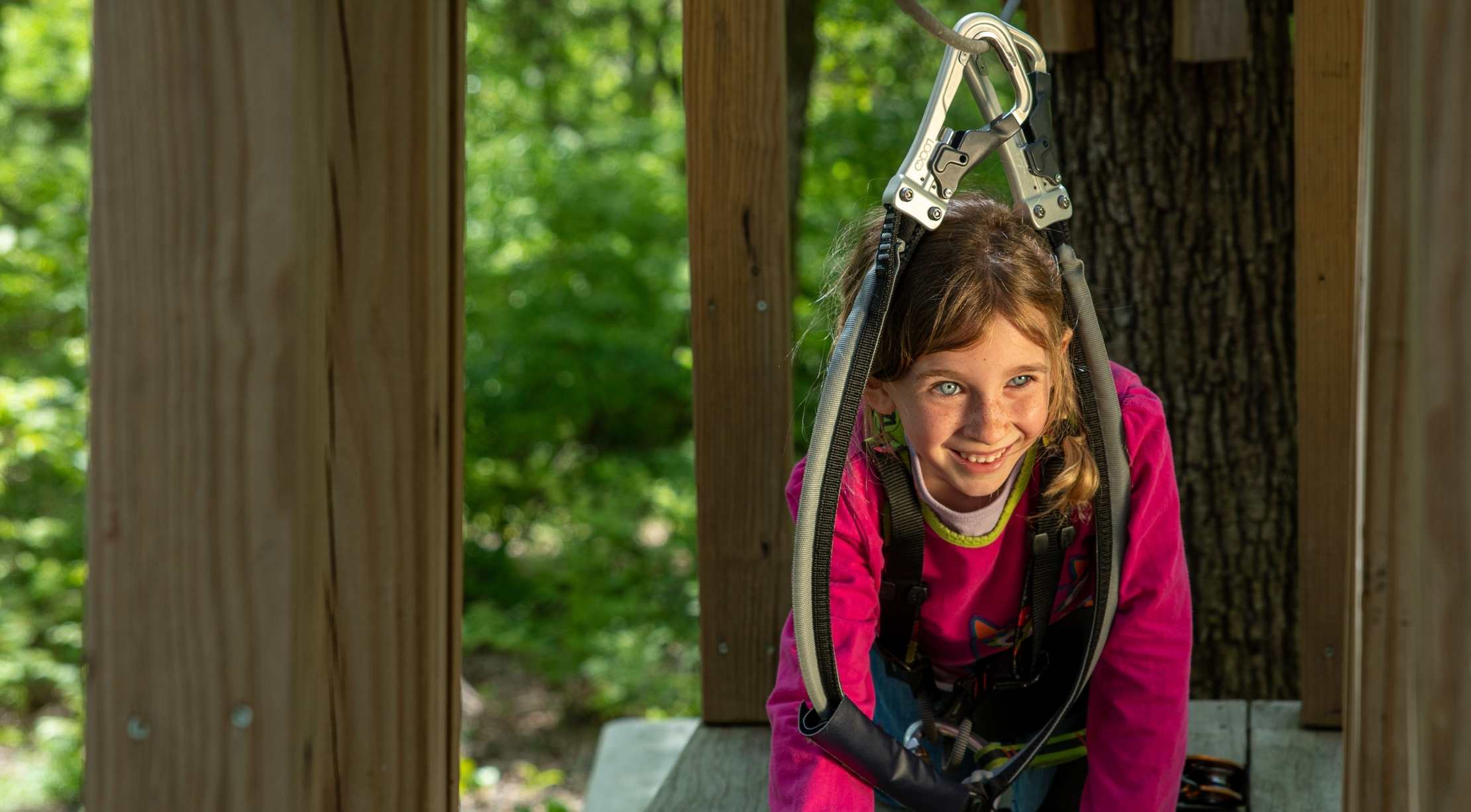 LockD Clips - Integrated Carabiner System for Adventure Parks